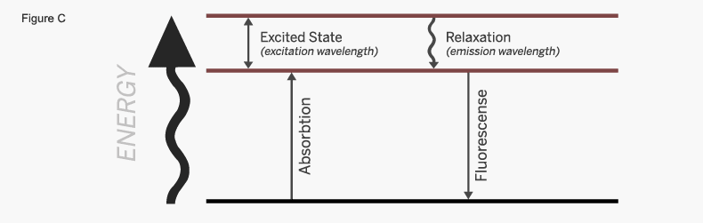 Diamond Fluorescence - All You Need To Know - 77 Diamonds Education
